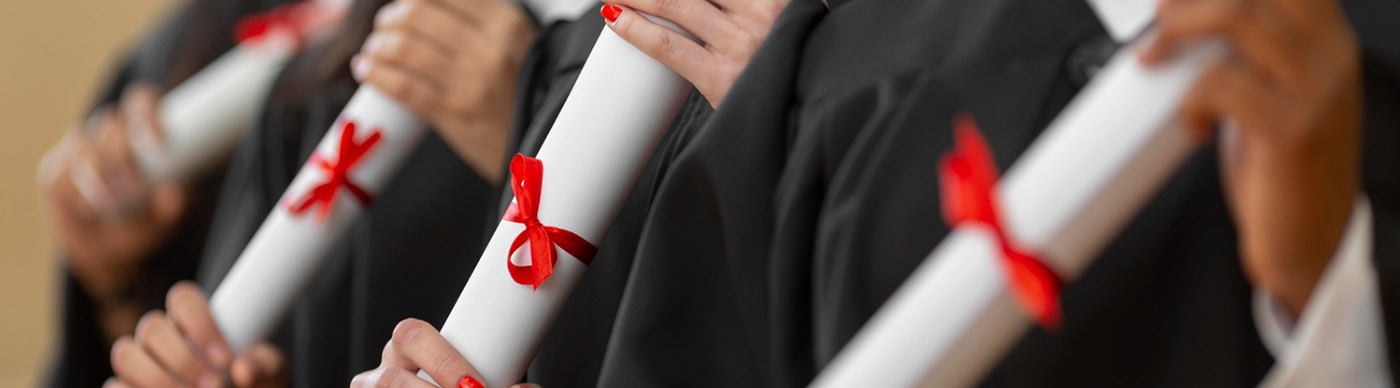 Egresado - Instituto del sur