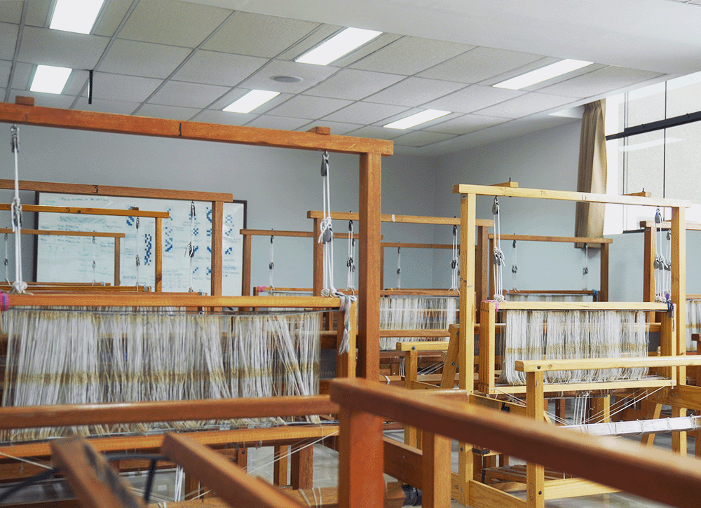 Por qué elegir ISUR - Instituto del sur